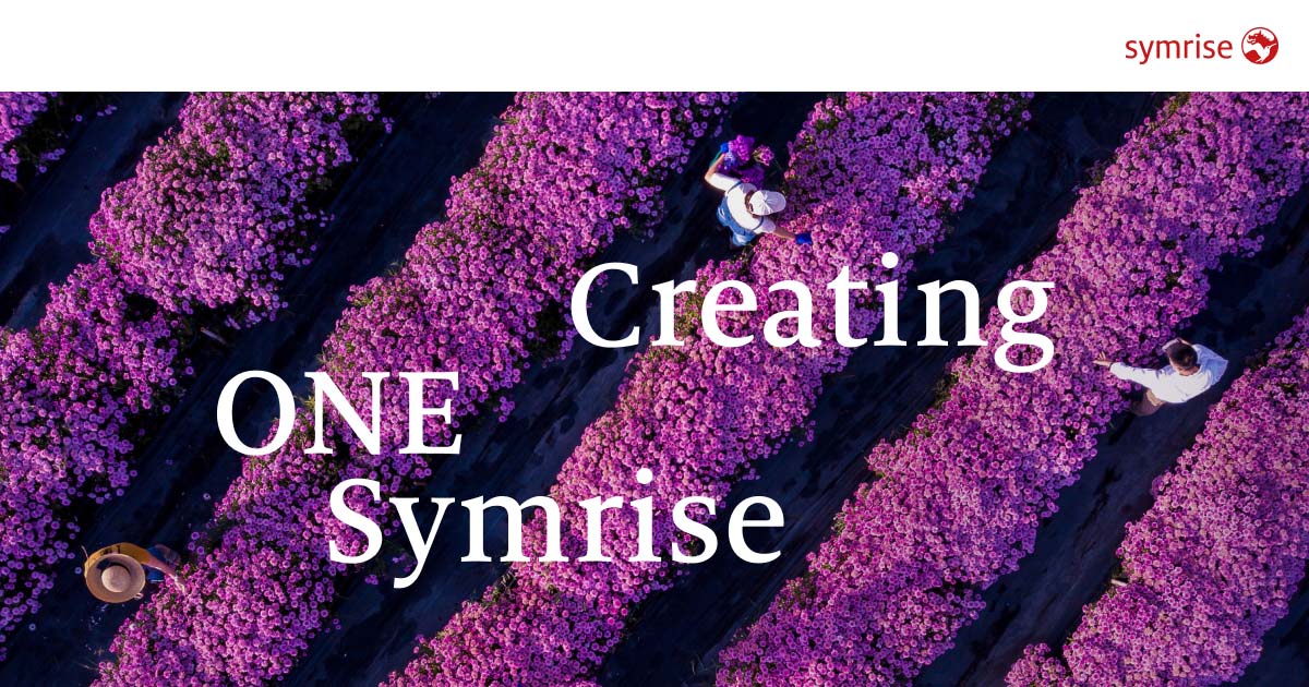 Creating ONE Symrise | Konzernkennzahlen 2024